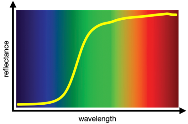 White Paper: Color Standards - What Are They? - Avian Technologies