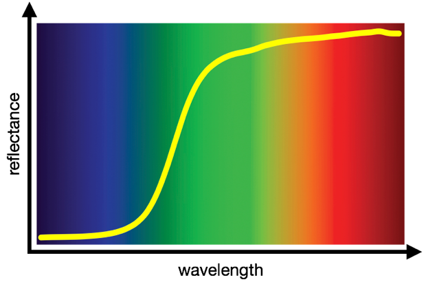 White Paper: Color Standards - What Are They? - Avian Technologies